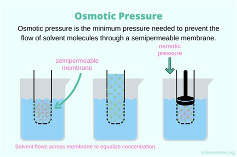Osmotic Pressure Definition Formula Examples