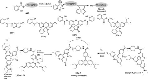 Scheme 4 Fluorescent Probes For General Sulfane Sulfurs A The