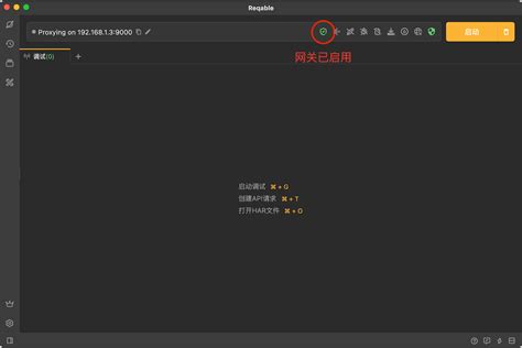 网关 Reqable · Api抓包调试 Api测试一站式工具