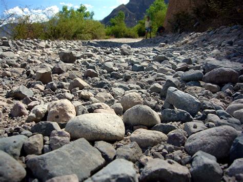 Walking With Llamas A Long Bumpy Journey