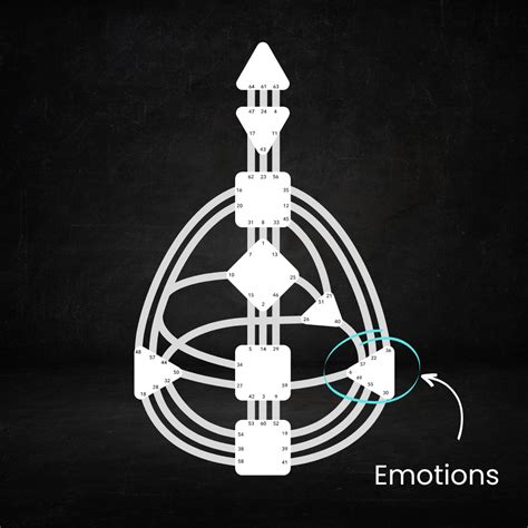 Solar Plexus Center In Human Design Meaning Definition And Not Self