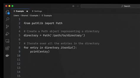 Basic Example Of Python Function Pathlibpathresolve
