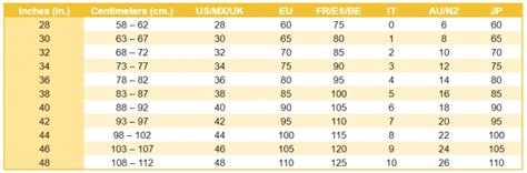 Sex Doll Bra Sizing Guide For You Love Doll A Guide By Industry Expert
