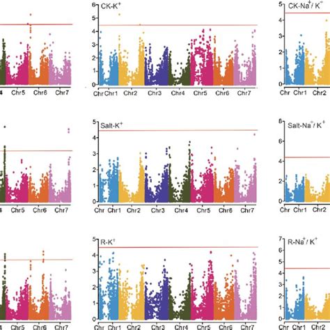 Gwas Analysis For The Ion Related Traits Under Different Conditions