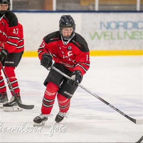 Ebbe Eriksson Stats Contract Salary And More