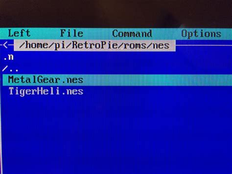 New Retropie Installation Consoles Do Not Show Up No ROMs Visible
