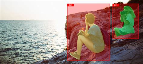 Image Annotation Sentisight Ai