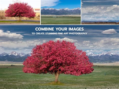 Tale Of Two Trees Landscape Photography Composite Landing Page
