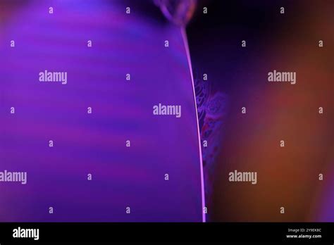 Purple Fluid Pattern Fluid Background Plasma Fluid Movement Red