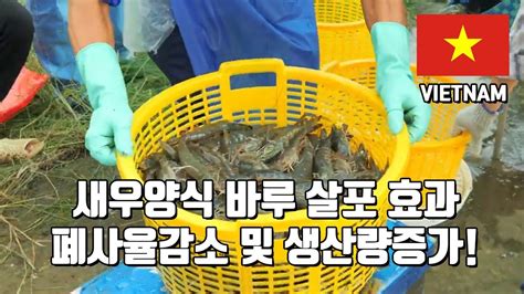 바루복합미생물 친환경새우양식 In Vietnam Youtube