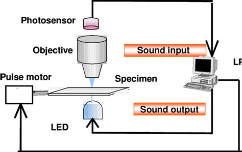 The Expected Experimental Setup Of The Low Price Optical Microscope