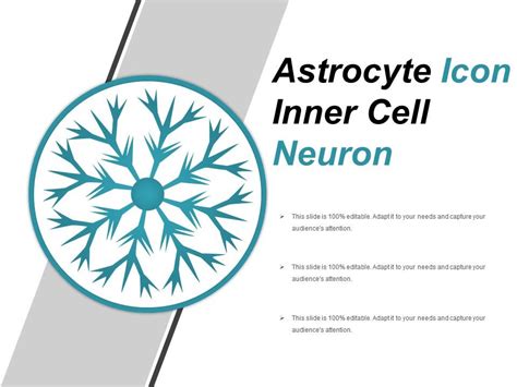 Astrocyte Icon Inner Cell Neuron Powerpoint Presentation Templates Ppt Template Themes