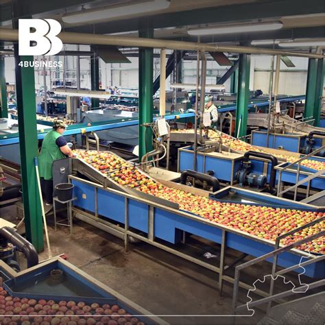 ბაზისბანკმა შეღავათიანი აგრო კრედიტის ფარგლებში ხილის გადამამუშავებელი ქარხანა დააფინანსა Bpn