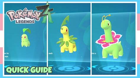 How To Evolve Chikorita Into Bayleef Into Meganium In Pokemon Legends