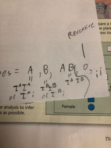 Human Genetics Quiz Flashcards Quizlet