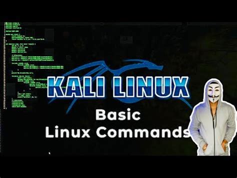 Kali Linux Basic Commands For All Beginner S Kalilinux Hacking TechnicalVPN YouTube