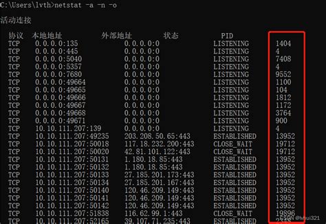 window10 查看本机tcp协议进程 windows查看tcp csdn博客