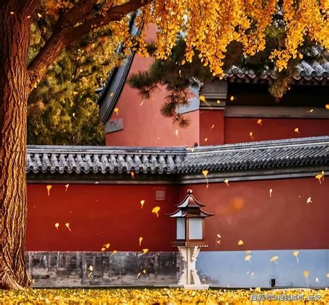 北京旅游5天4晚多少钱？跟团五日游最佳出行路线，实用保姆级攻略 Day 天安门 朋友