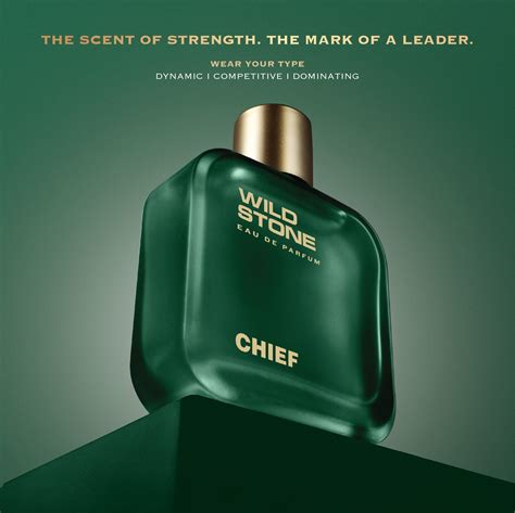 Wild Stone Chief Perfume For Men 100 Ml