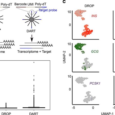 Dart Seq Improves Detection Of Low Abundance Transcripts In Human Download Scientific Diagram