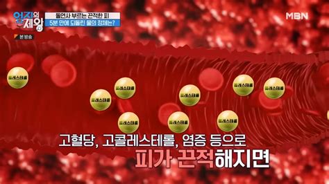 5분이면 콜레스테롤로 끈적해진 혈액이 맑아집니다 혈액순환에 방해를 주는 끈적한 피 맑게 바꾸는 전해질수 만드는법 뉴스yum