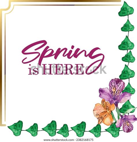 Ivy Lilly Photos And Images And Pictures Shutterstock