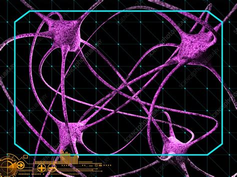 Neural Network Conceptual Image Stock Image C0357858 Science Photo Library
