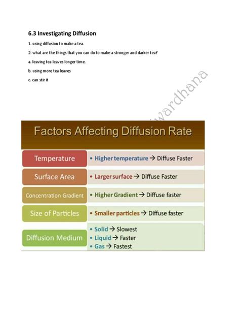Investigating Diffusion Pdf