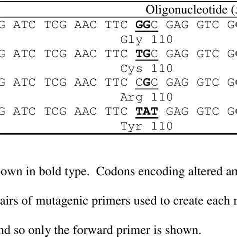 Primers Used For Site Directed Mutagenesis Download Table