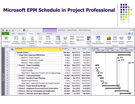 Project Portfolio Management Comparison Of Microsoft Epm And Primavera P6 V7 Ppt 1 PPT
