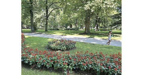 Община Пловдив търси шеф на отдел Зелена система заплатата е 2500 лв