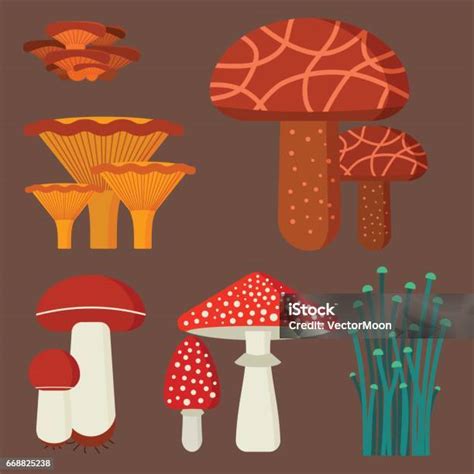 대 한 버섯 요리 음식 및 독성 자연 식사 채식 건강 한가 식용 균 류 유기 식물성 원료 성분 벡터 일러스트 레이 션 가을에 대한 스톡 벡터 아트 및 기타 이미지 Istock