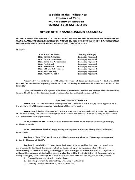 Ordiance On Peace And Order Pdf Public Sphere Common Law