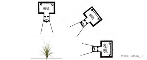 毕业设计 基于深度学习的麦田杂草检测算法系统 Yolo 卷积神经网络杂草识别算法 Csdn博客