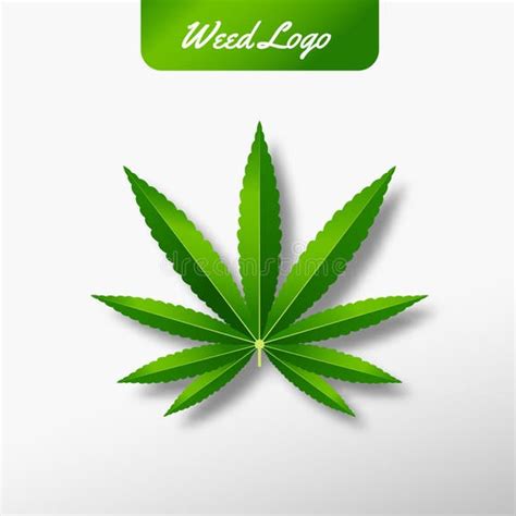 Weed Leaf Logo Stock Vector Illustration Of Clean Logo 364760764