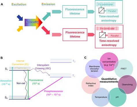 Calibration Approaches For Fluorescence Lifetime Applicat