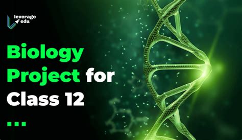 Bipc Subjects Full Form Advantages Courses And More I Leverage Edu