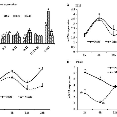 Principle Of Rt Mlpa Assay For Apoptosis Testing Rt Mlpa Real Time