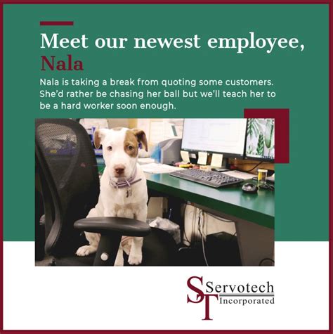 servotech inc on linkedin meet nala