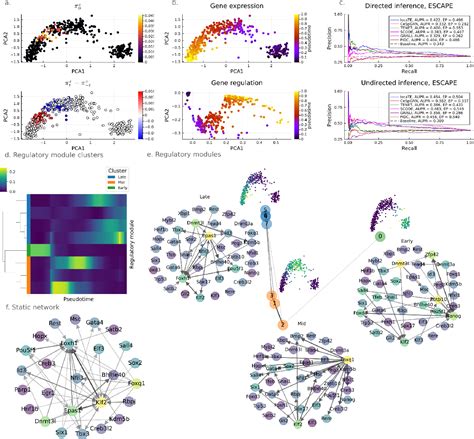 Figure 4 From Learning Cell Specific Networks From Dynamical Single Cell Data Semantic Scholar