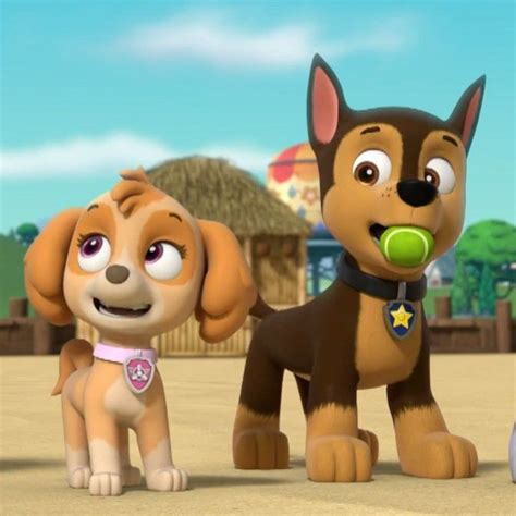 Pin De Matt Davies Em Paw Patrolskase Patrulha Canina Desenho Sky