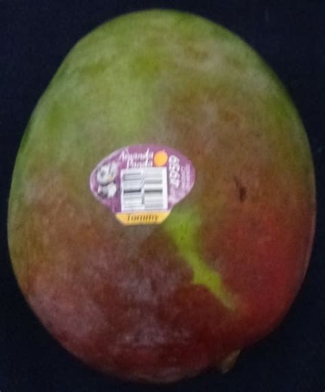 Amanda Panda Reviews Abillion