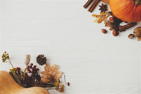 가을 배경 플랫 평지 호박 단풍 아니스 도토리 텍스트 공간이있는 흰색 나무에 계피 해피 추수 감사절과 할로윈 템플릿 안녕하세요 가을 10월에 대한 스톡 사진 및 기타 이미지