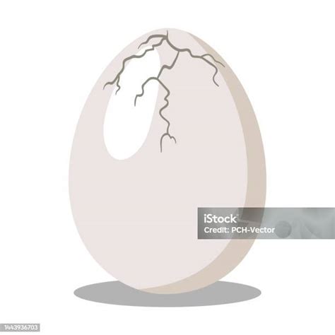 금이 간 공룡 계란 만화 그림입니다 흰색 배경에 달걀 껍질에 재미 있는 녹색 공룡 또는 용 몬스터에 대한 스톡 벡터 아트 및