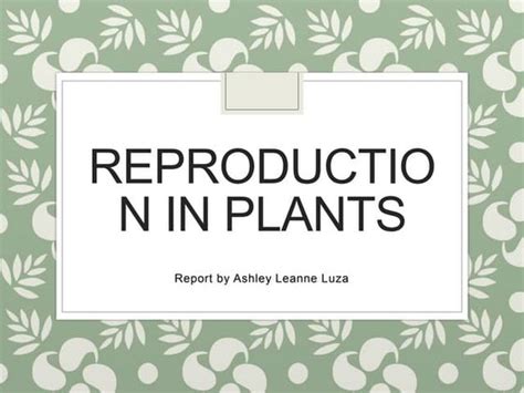 Cbse Grade 7 Chapter 11 Reproduction In Plants Ppt Reproductive Health Diseases And Conditions