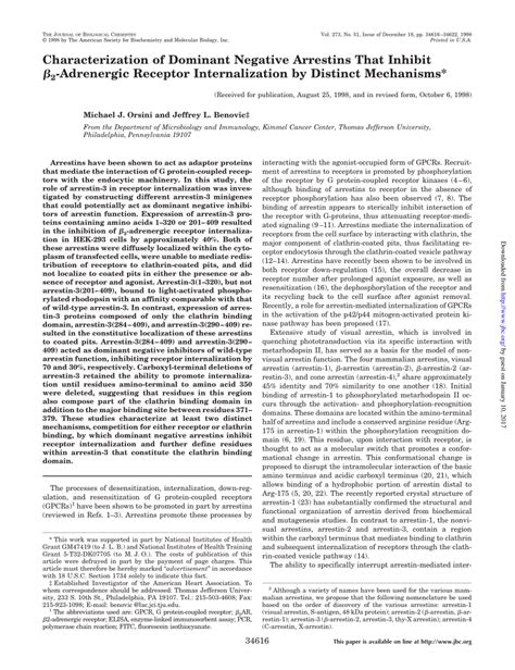 Pdf Characterization Of Dominant Negative Arrestins That Inhibit β 2