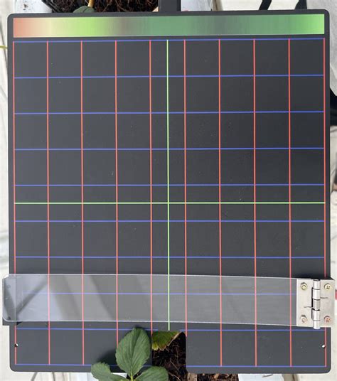 Unileafbboxnewstandard Object Detection Dataset By Main1