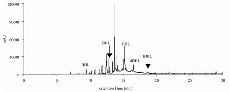 Gc Ms Chromatogram Of An Extract Of Cell Free Supernatant Of Download Scientific Diagram