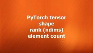 Handling RuntimeError The Size Of Tensor A X Must Match The Size Of Tensor B Y At Non