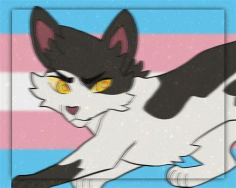 Transgender Swiftpaw Pfp Warrior Cats Fan Art Warrior Cat Warrior Cats